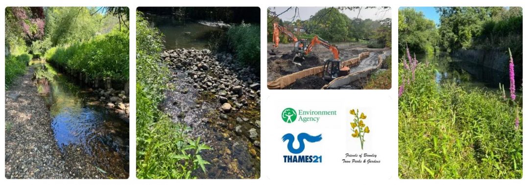 Putting Healthy Rivers at the Heart of the Community | Thames21