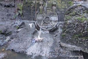 High levels of bacteria found in the River Roding, new study finds ...