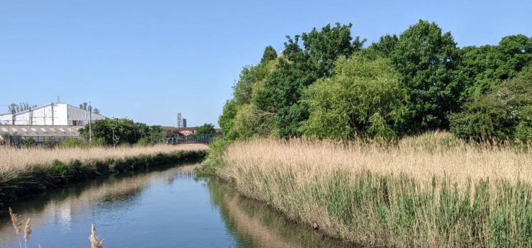 Putting Healthy Rivers at the Heart of the Community | Thames21