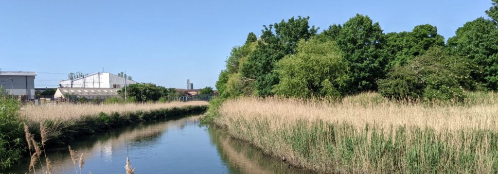 Thames21 and the River Roding Trust launch water quality monitoring ...