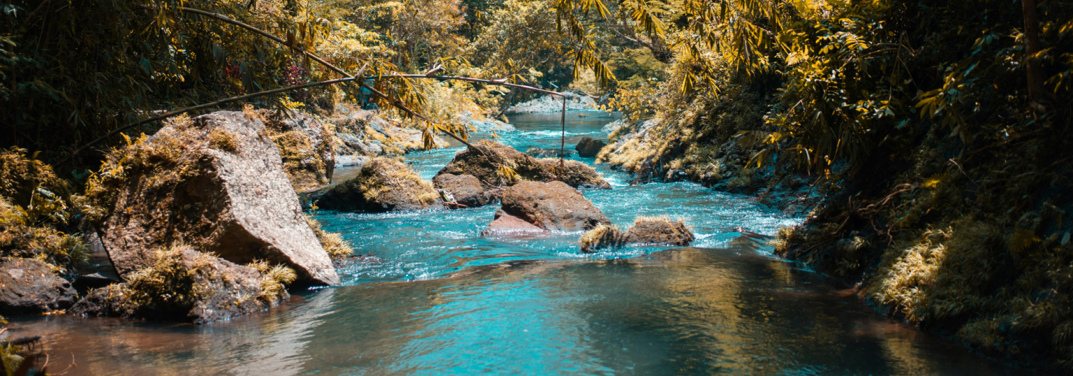 Rivers: vital allies in tackling climate change - Thames21