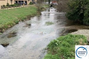 Putting Healthy Rivers at the Heart of the Community | Thames21