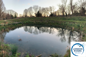 Putting Healthy Rivers at the Heart of the Community | Thames21