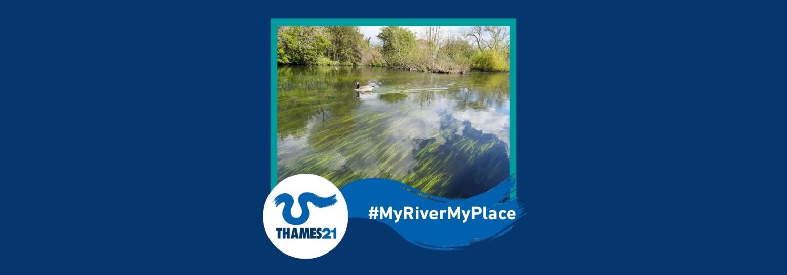 My River, My Place campaign - Thames21