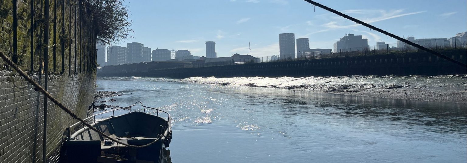 Thames21 and partners launch five-year initiative to improve the River ...