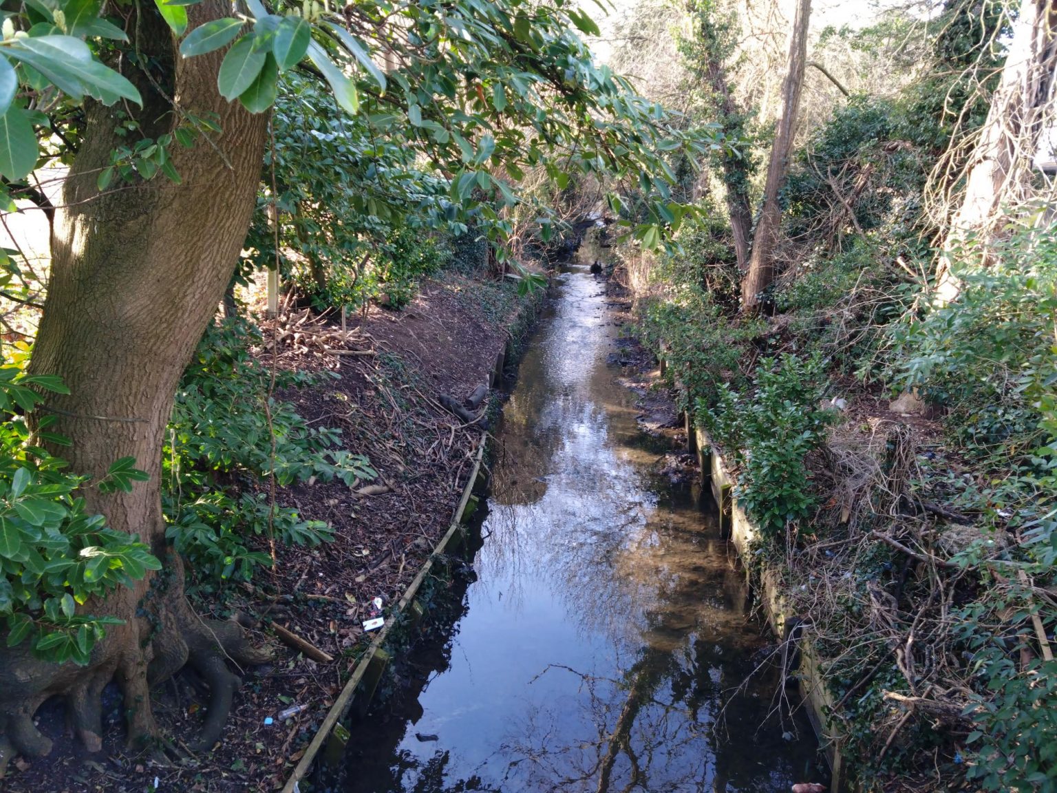 Chandos Park - Thames21