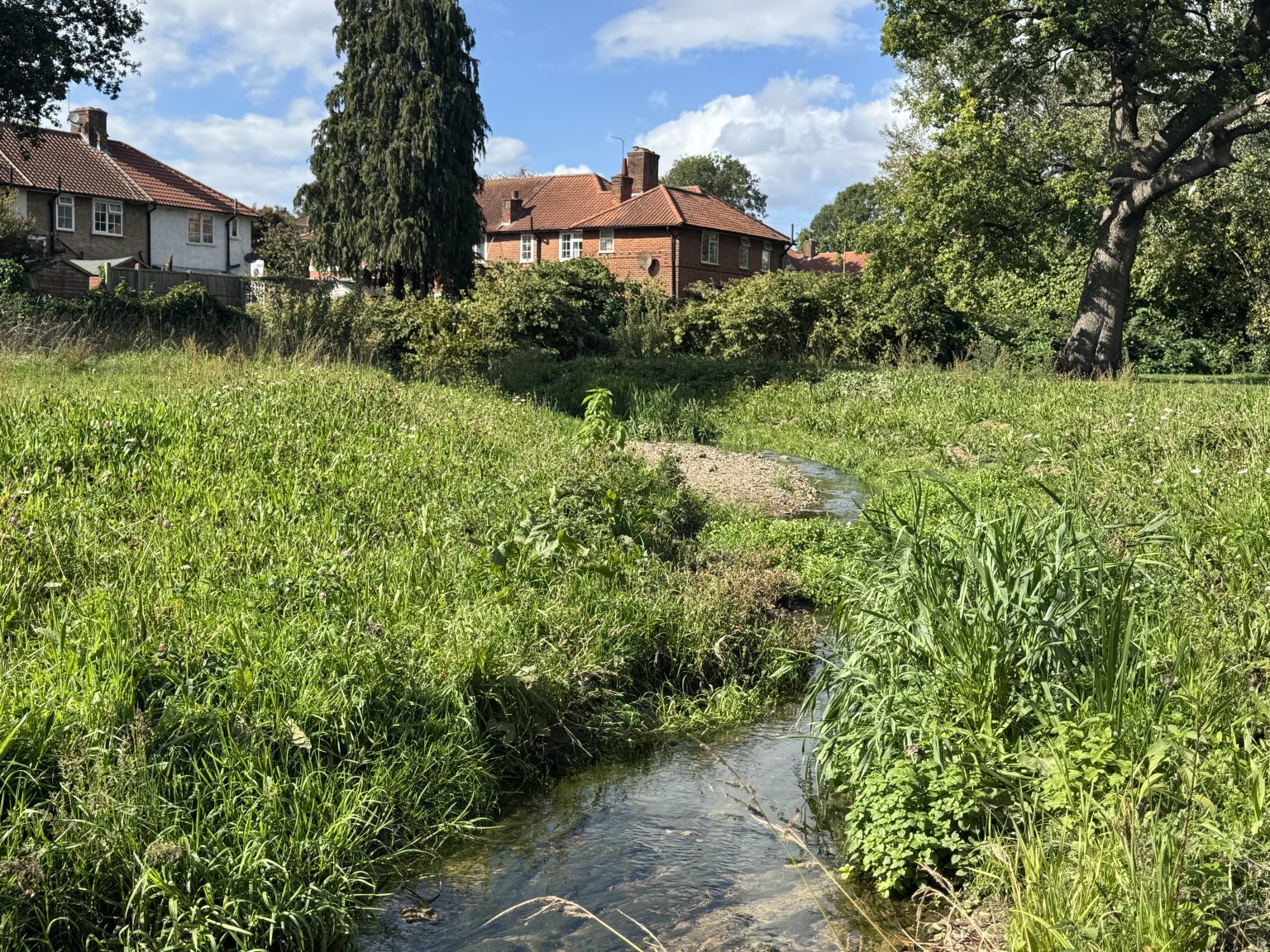 Putting Healthy Rivers at the Heart of the Community | Thames21