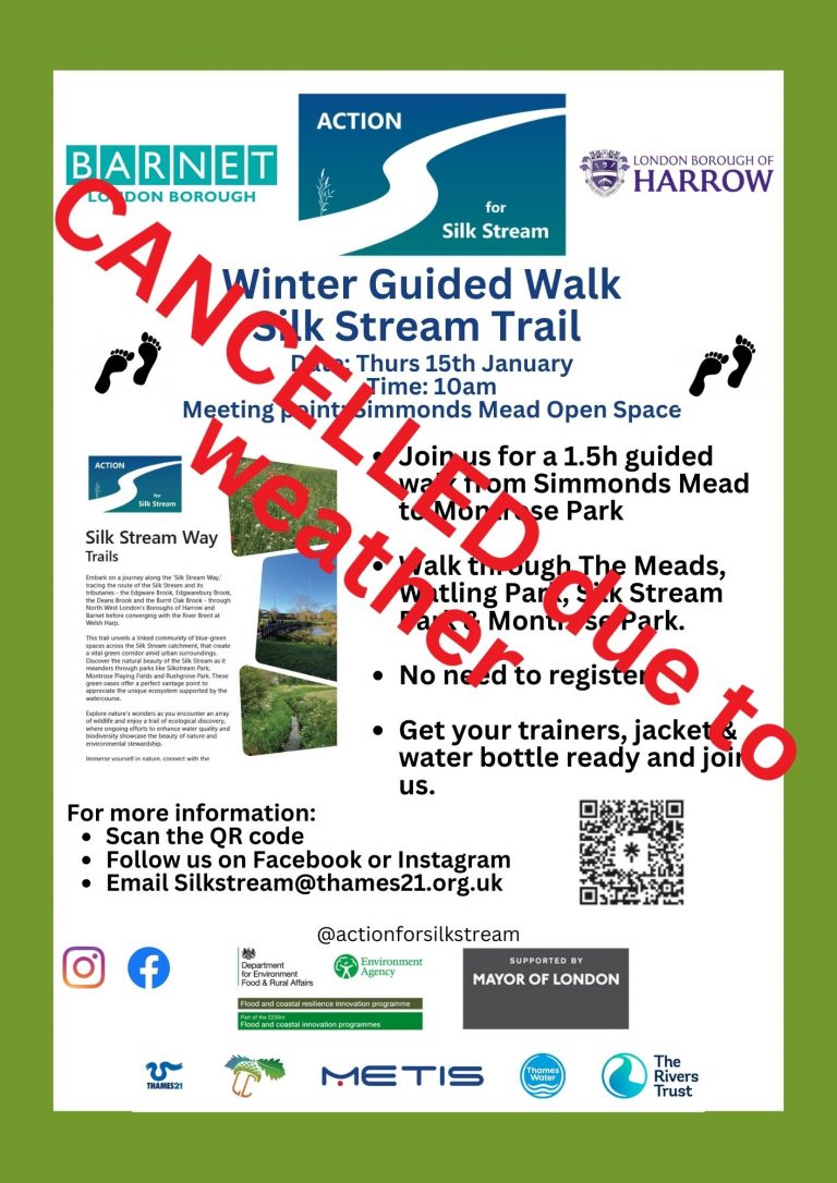 Action for Silk Stream - Winter Guided Walk - Thames21